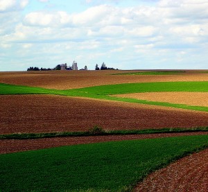 Contour_Farm_by_Todd_Ehlers | Allamakee SWCD