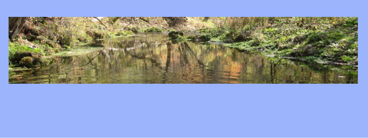 Waterloo Creek Project Nearing Completion | Allamakee SWCD