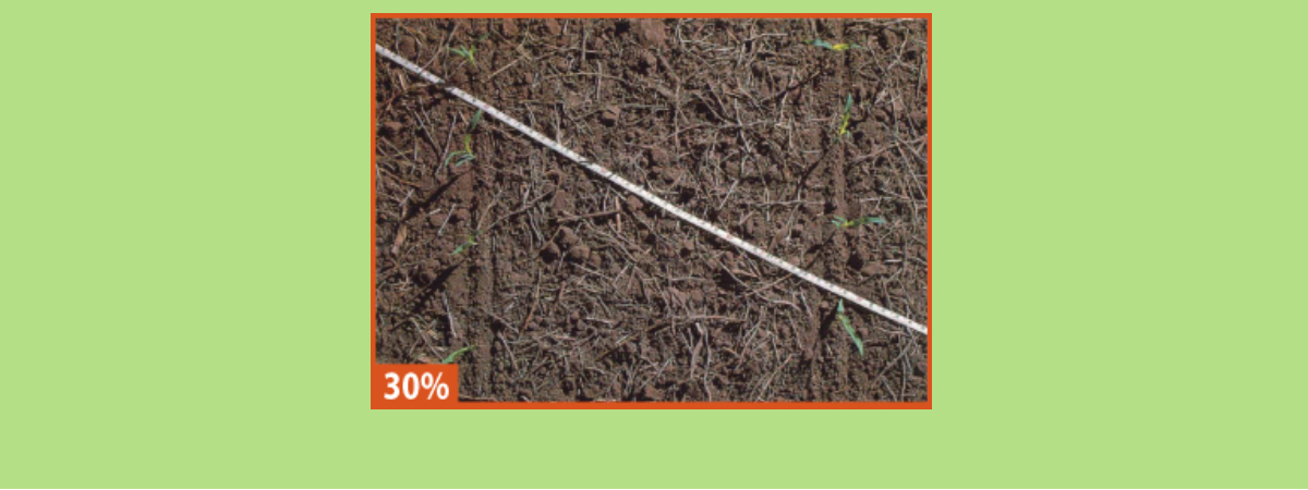 How to Measure Surface Residue | Allamakee SWCD